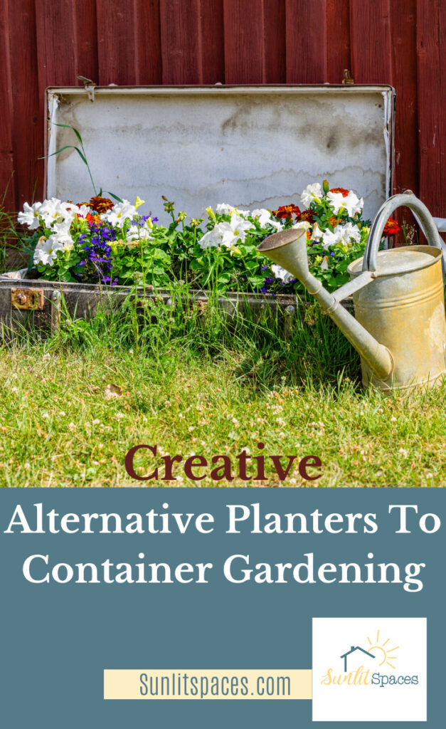 Alternative Planters For Container Gardening: Idea, Tips- sunlitspaces.com
